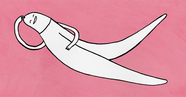 This Animation About The Clitoris Will Amuse and Educate