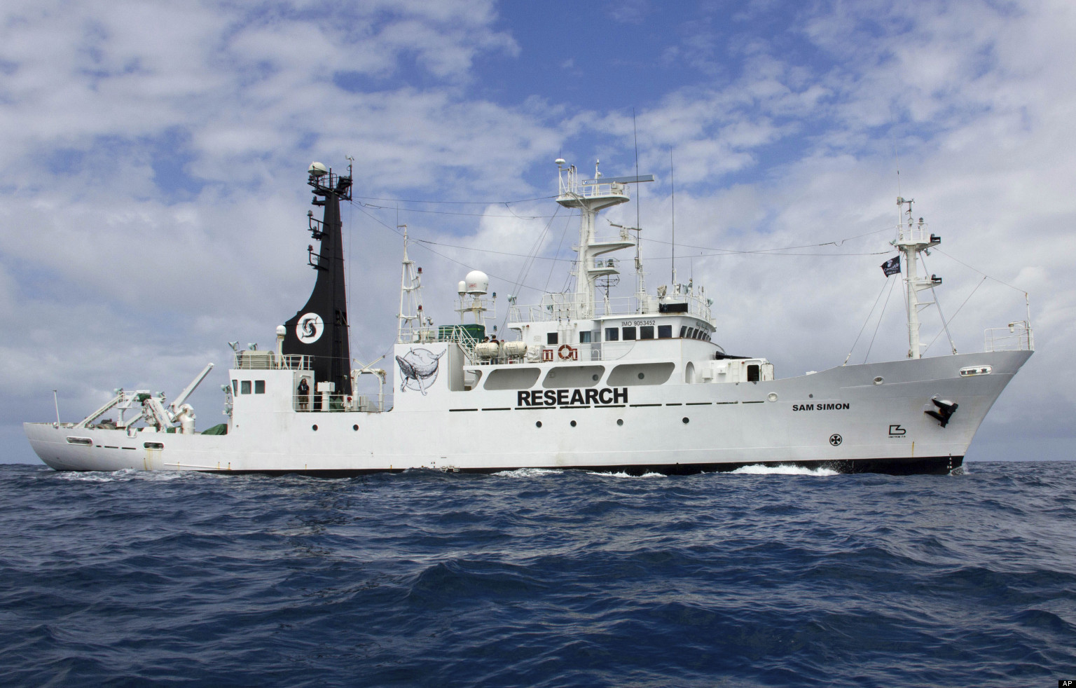 On the Lam and Back in Command: Paul Watson and Sam Simon | Jerry Cope